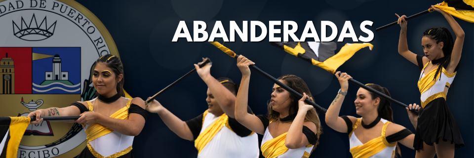 Universidad de Puerto Rico en Arecibo