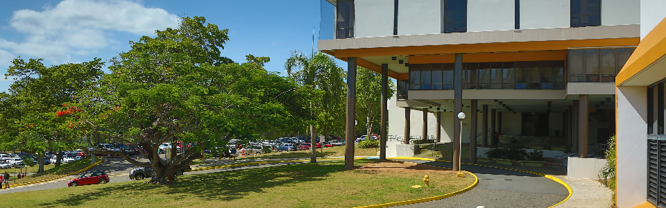 Universidad de Puerto Rico en Arecibo