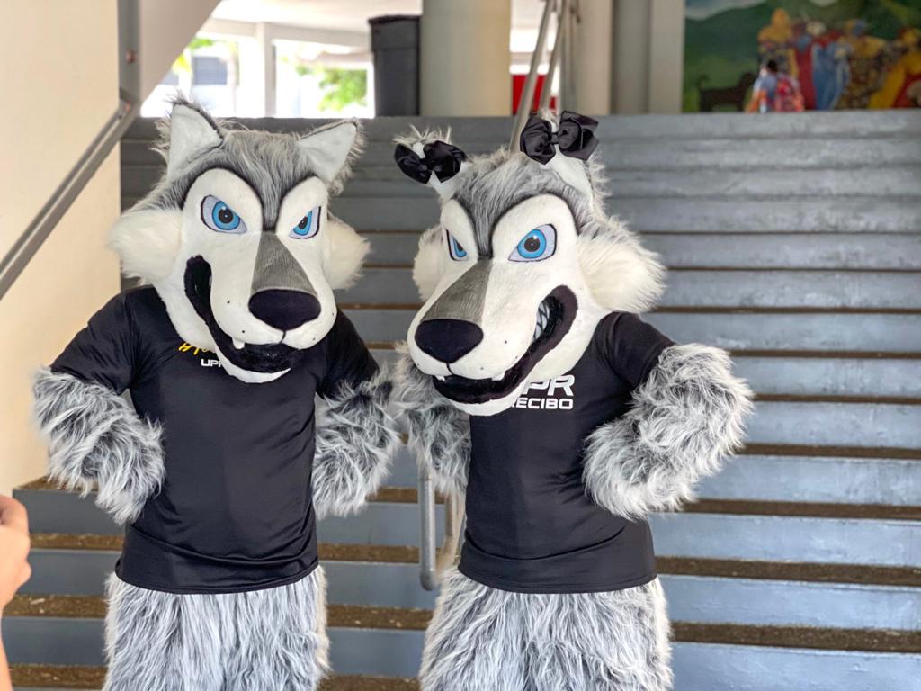 Admisiones – Universidad de Puerto Rico en Arecibo